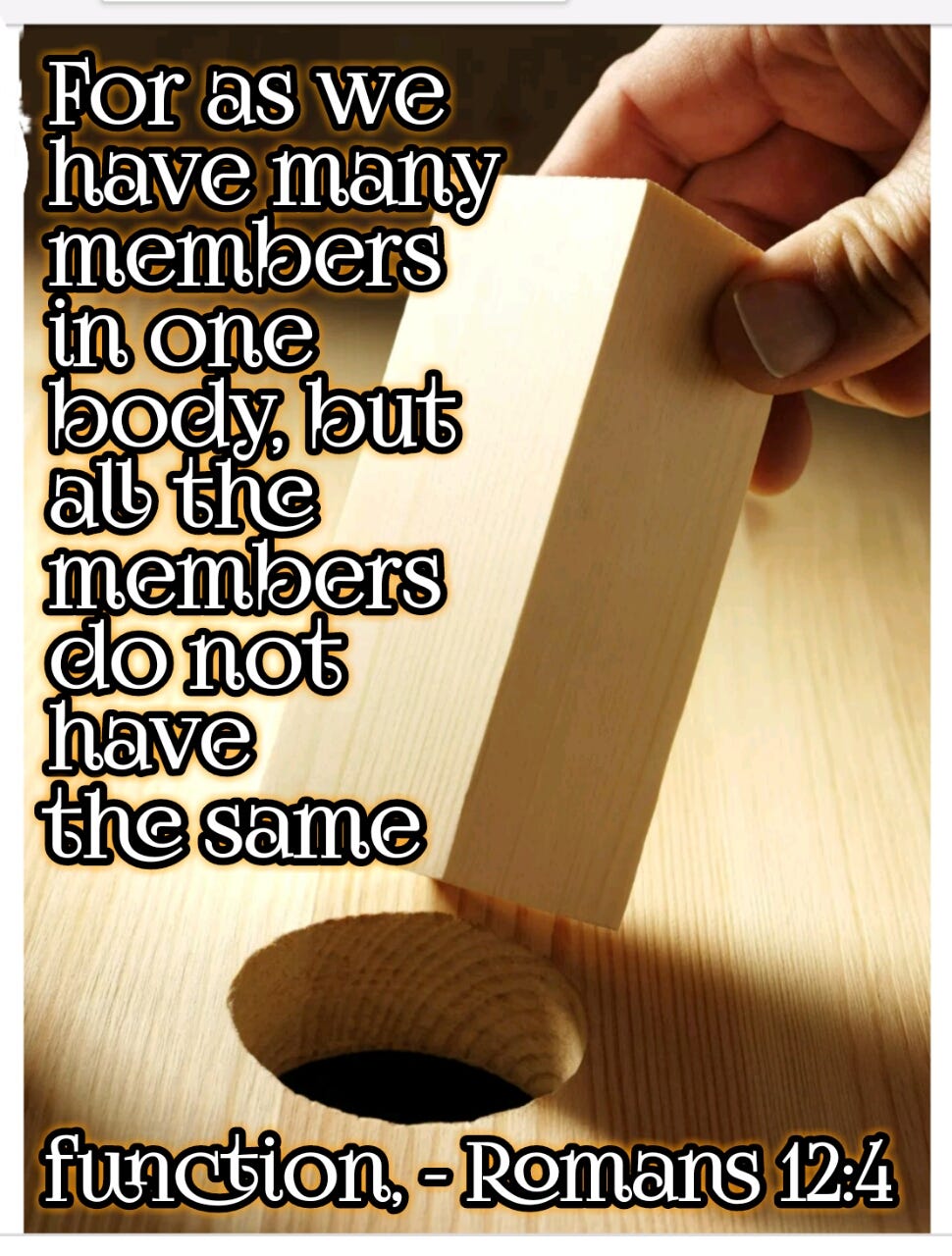 For as we have many members in one body, but all the members do not ...