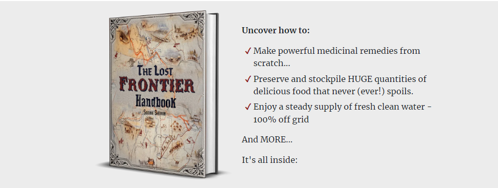 Lost Frontier Handbook-Survive Any Crisis | by Noah Ezekiel | Medium