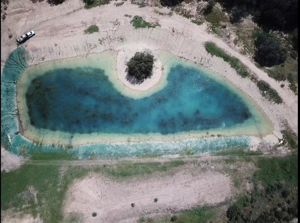 Environmental benefits when used in pond management | by Texas Pond ...