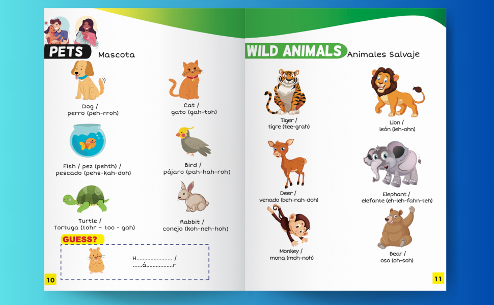 Unlock the World of Spanish with a Creative and Visual Approach Book ...