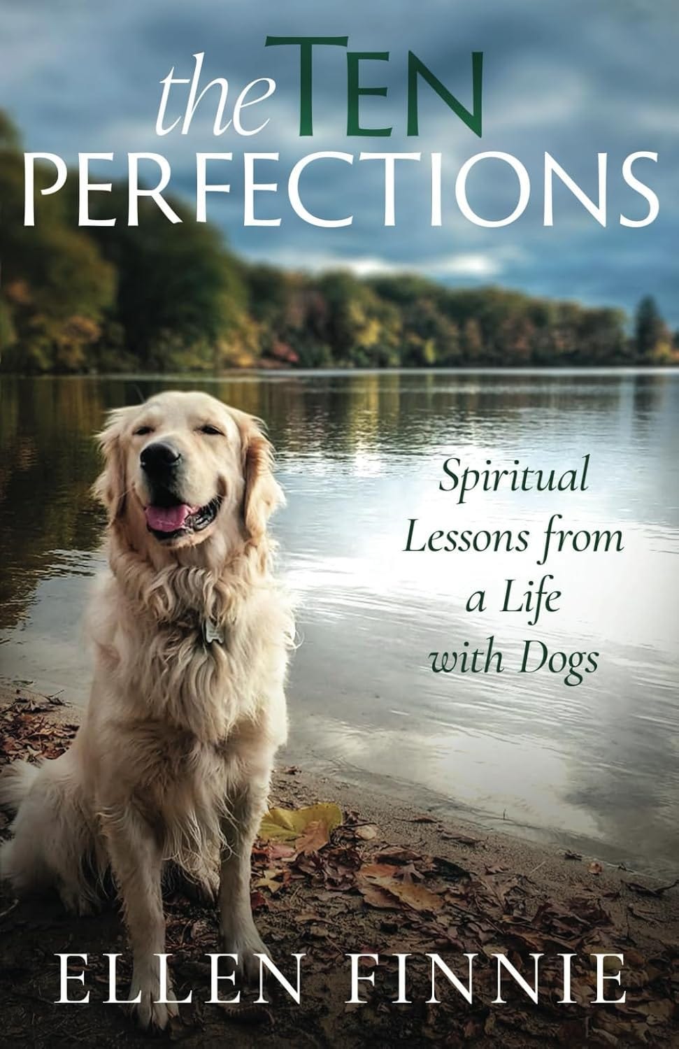 The Ten Perfections: Spiritual Lessons from a Life with Dogs | by David ...