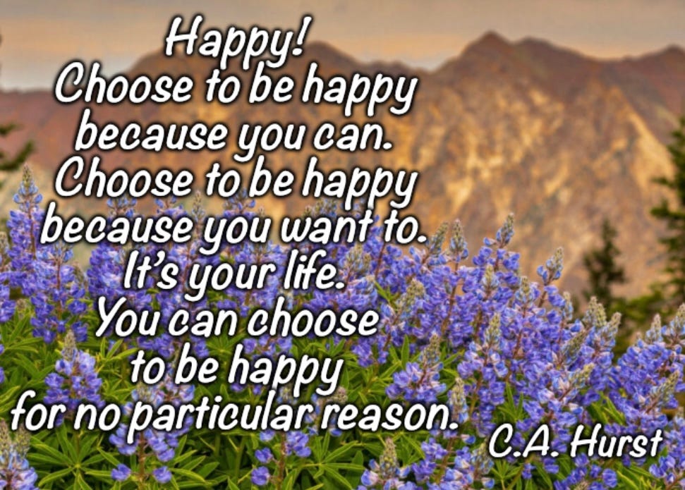 Happy! - C. A. Hurst - Medium