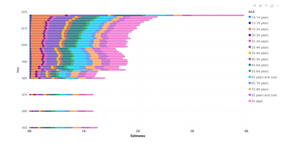 Mastering the Fundamentals of Grouping in Power BI | by pcseprs | Medium
