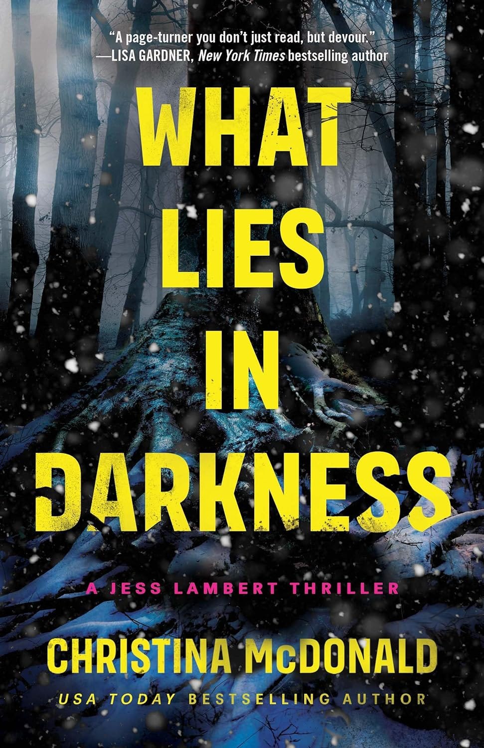 (DOWNLOAD) (PDF)’ What Lies in Darkness (Jess Lambert, #2) FULL BOOK ...