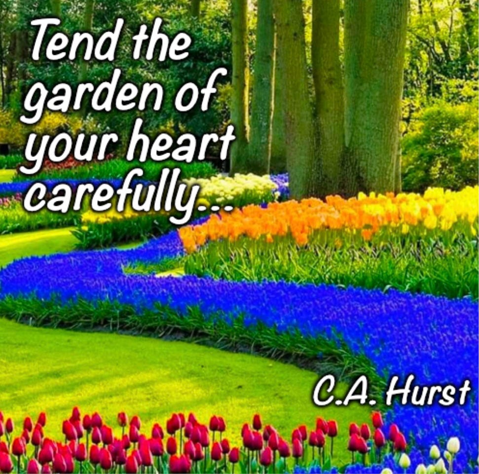 Tend the garden of your heart carefully… | by C. A. Hurst | Medium