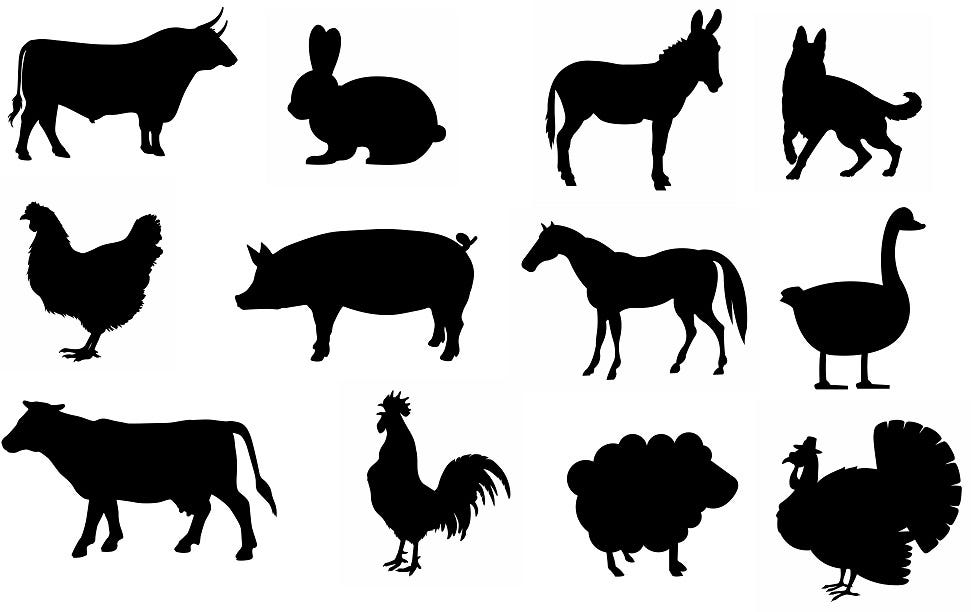 Farm Animal cow svg rooster horse chicken pig hare black and white clip ...