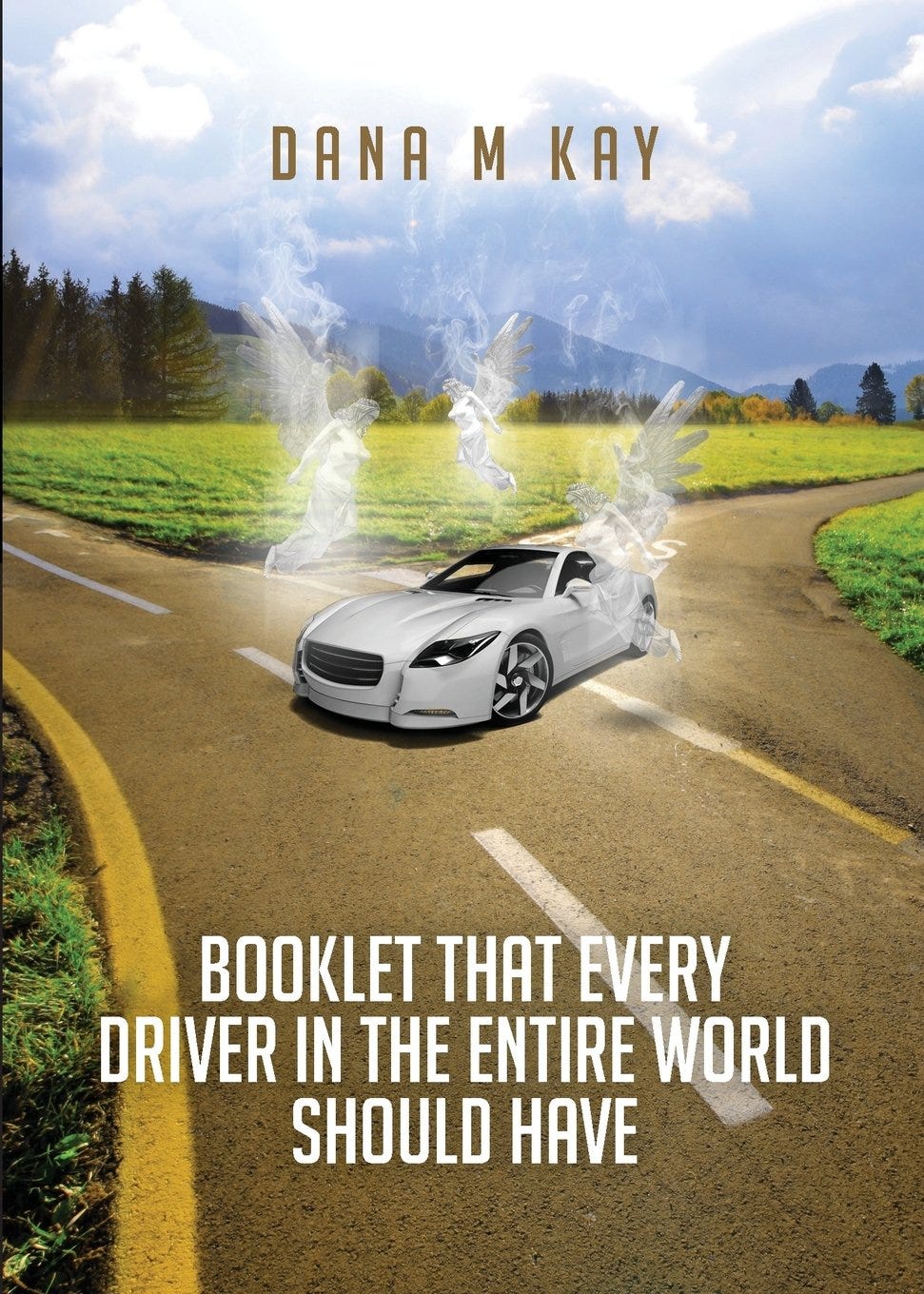 [DOWNLOAD][BEST]} Booklet that every driver in the entire world should ...