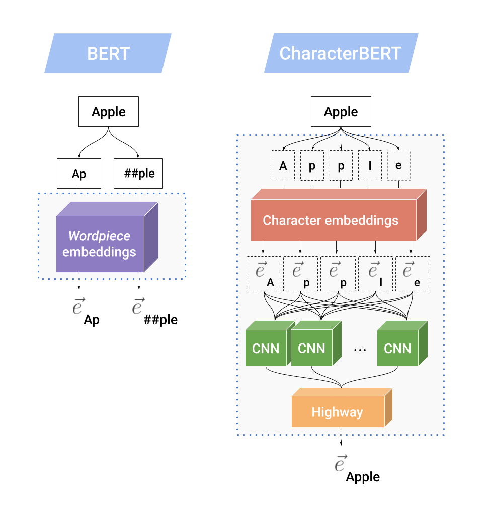 CharacterBERT: a Word-Level Open-Vocabulary BERT | Towards Data Science