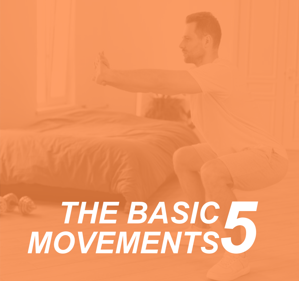 5 Basic Movements for Fitness Clients | by Erin Dollison Nitschke | Medium
