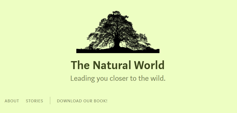 Why You Should Write for The Natural World | by Micha Petty | The ...