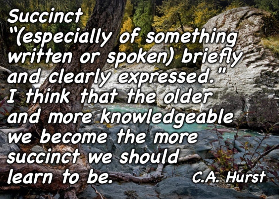 Succinct - C. A. Hurst - Medium