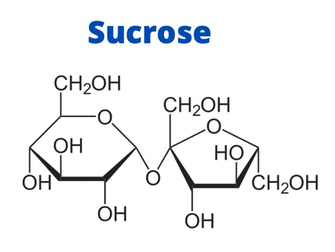 Table Sugar Structure