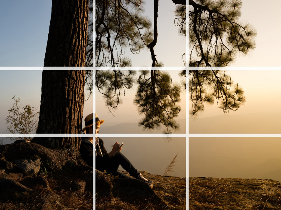 “Capturing Beauty: The Importance of Composition in Photography” | by ...