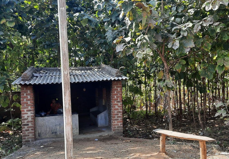 Middle India 37 — Monkeys, Locals And An Interesting Drive To Raipur ...