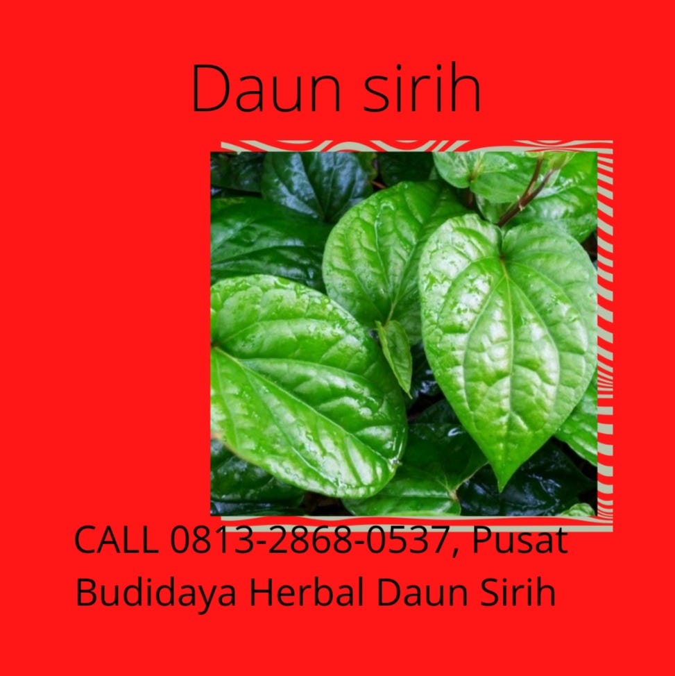 Daun 3 | by Produsen Rak bunga cikarang barat | Medium
