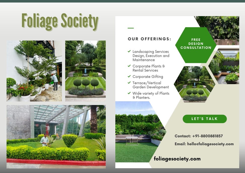 Foliage Society: Elevating Restaurant Ambiance with Exquisite Greenery ...