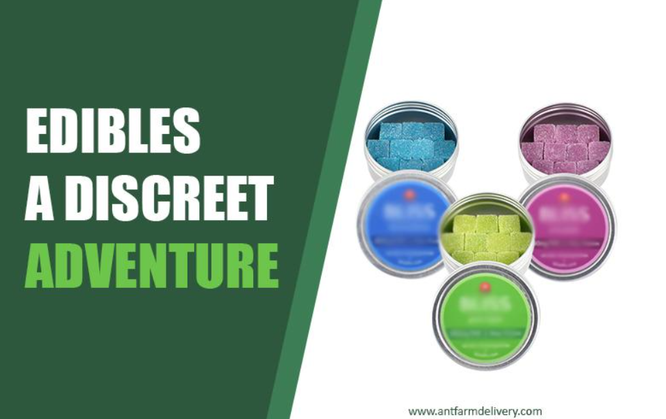 Edibles: A Discreet AdventureEdibles: A Discreet Adventure - Ant Farm ...