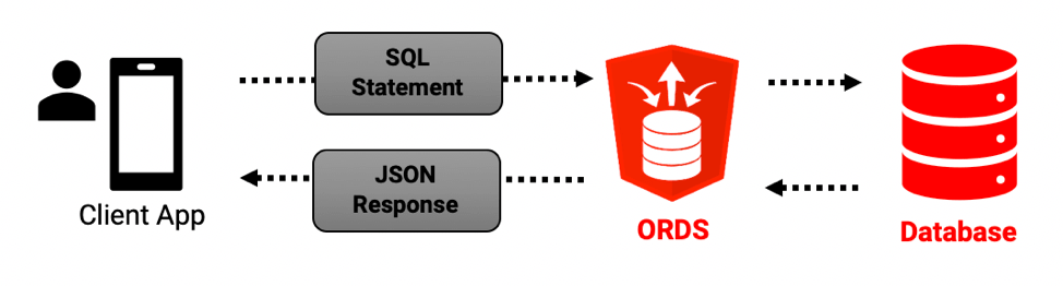 Effortless Mysql Apis With Oracle Ords A Complete How To Guide By Damith Rushika Kothalawala
