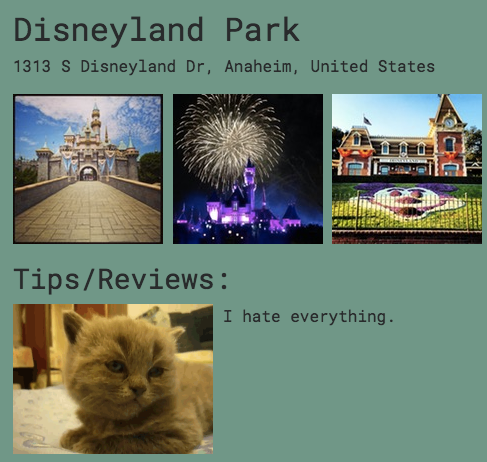 Disneyland Cat Meme