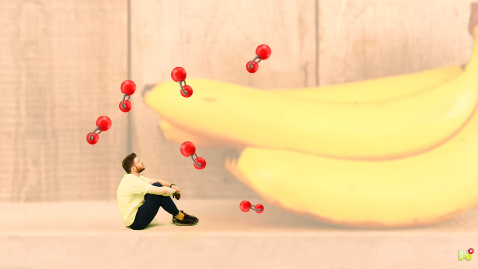 Научная или популярная “Редакция.Наука”? | by Dmitry Shipunov | Медиакритика ННГУ-2023 | Medium