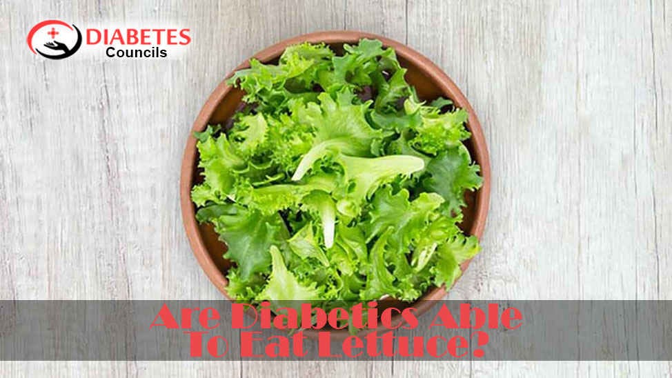 Lettuce: A Nutrient-Packed Leafy Green | by Mudassarrafique | Aug, 2024 | Medium