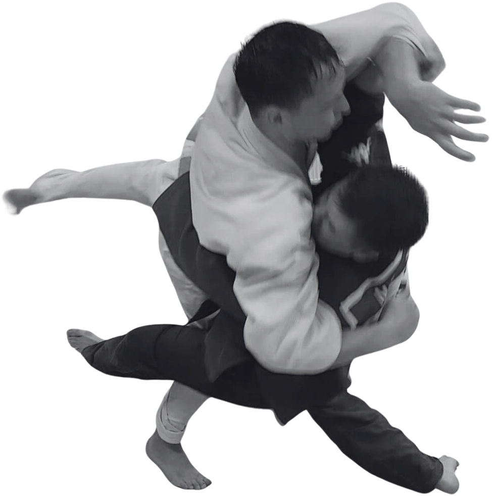 Judo strength and conditioning revisited | by Paul Robertson, PhD | Jun ...