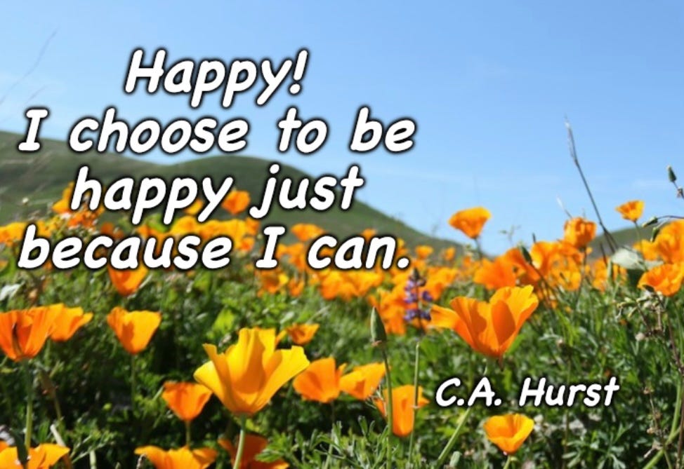 Happy! - C. A. Hurst - Medium