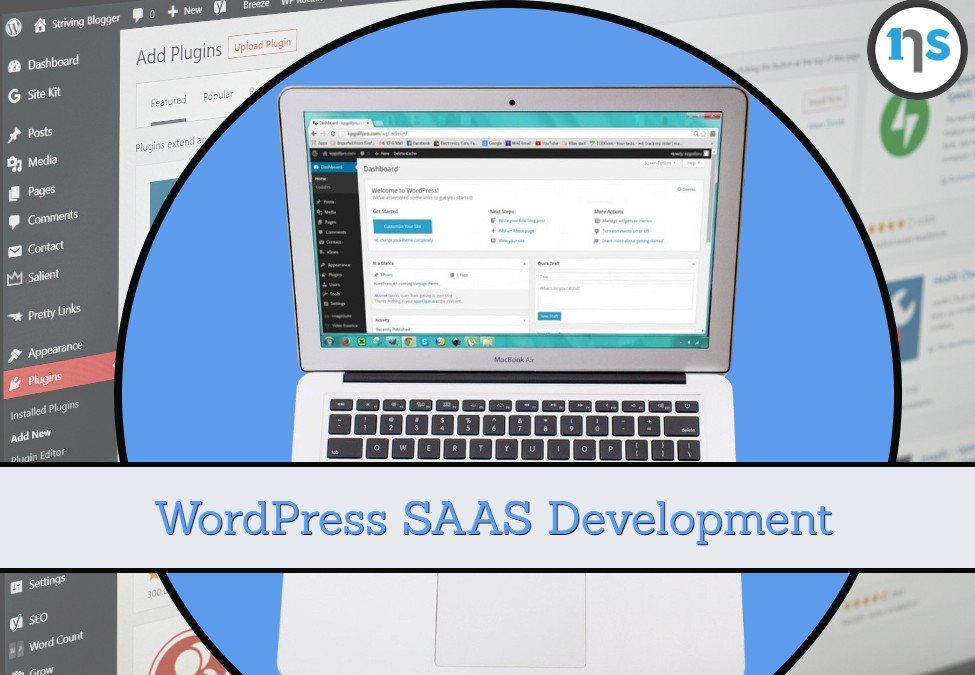 WordPress SAAS Development: Definition,Configurations,Plugin and More ...