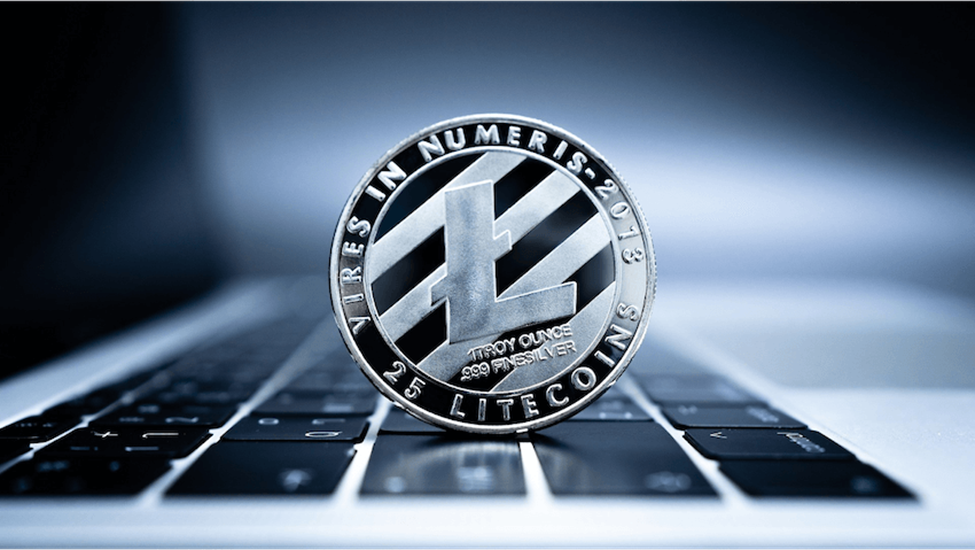 Litecoin Halving: Bagaimana Cara Memperdagangkan LTC di Tahun 2023? | by Diana | CoinEx ...