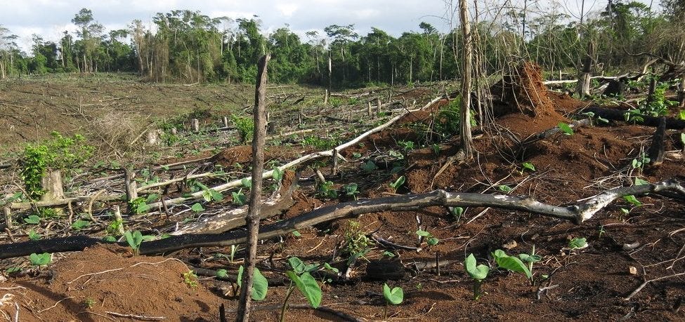 Our Land Our Future. Theme: Land Restoration… | by Pavithan | Jul, 2024 ...