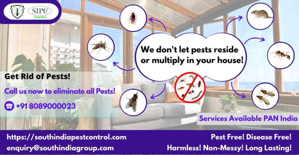 Why do we have to use pest control services in Hyderabad? | by SIPC ...