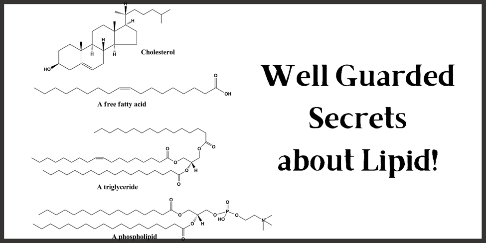 Well-guarded secrets about Lipid. Classifications of lipids | by Uyir ...