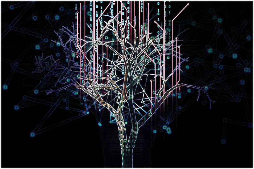 How to Build a Robust Random Forest Regression Model in Python | by ...