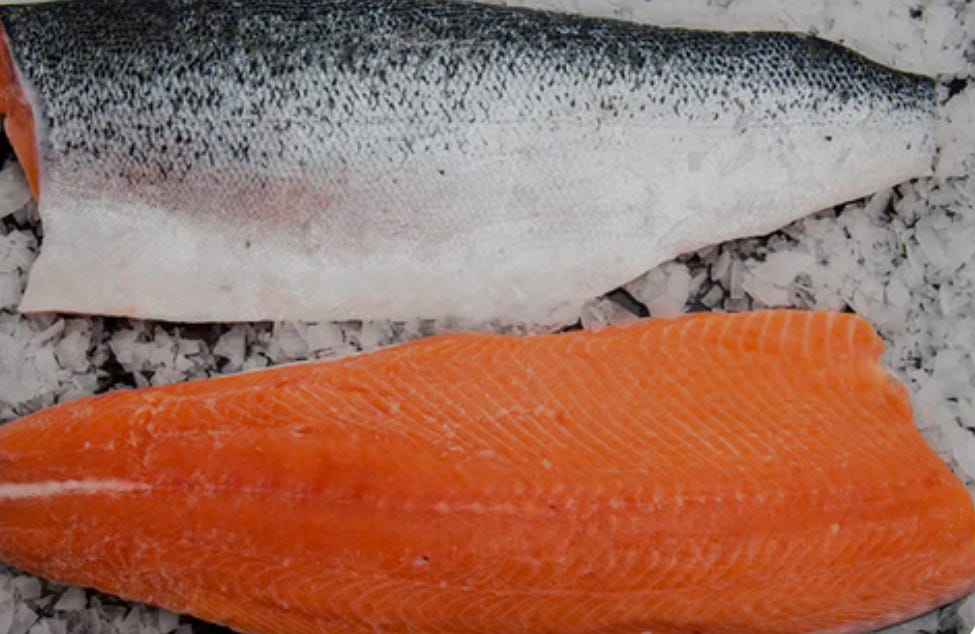 Let’s Talk: Salmon. I'm not too crazy over fish but one of… | by ...
