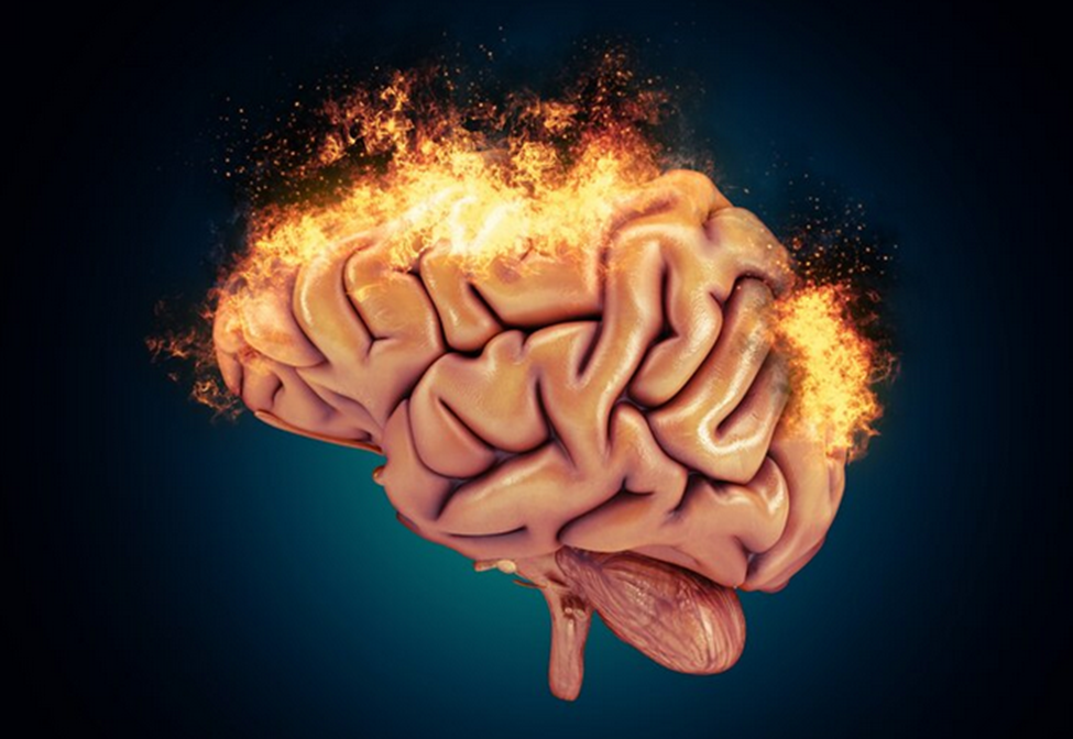 AI: Artificial Intelligence or Aggregated Ignorance? A Case Study. | by ...