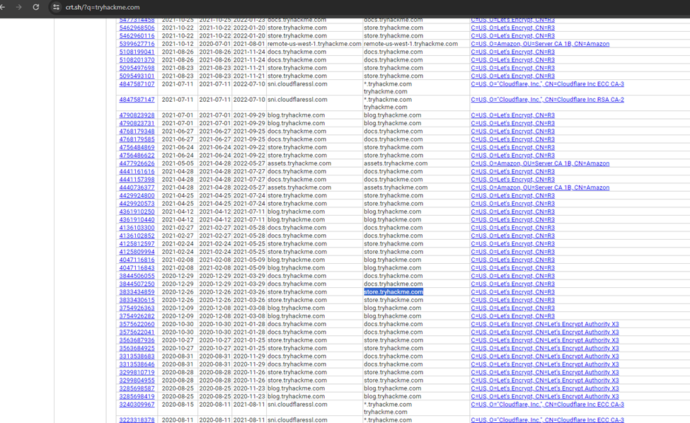 TryHackMe — Subdomain Enumeration Write Up | by Taylor Kepinski | Medium