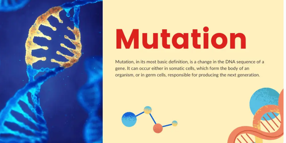 Mutation its types, Effects on Generations and Strategies for a ...