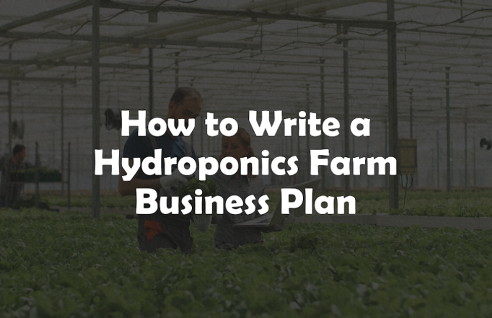 Commercial Hydroponics Business Plan