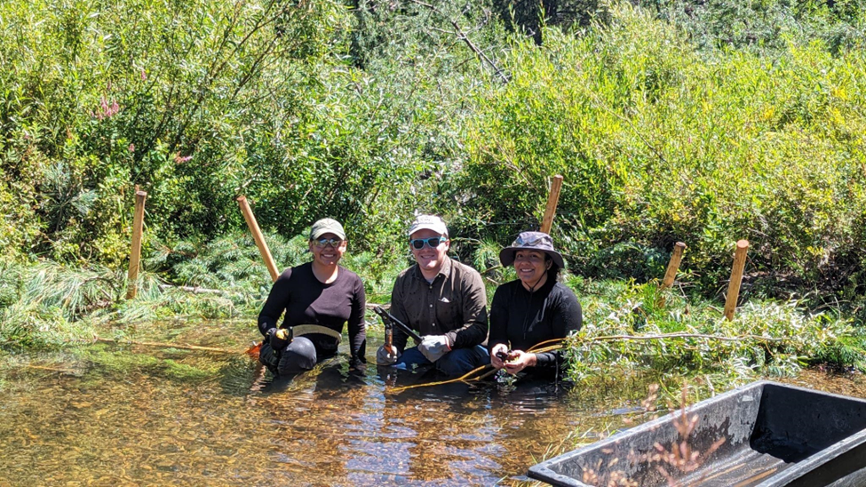 Natural Resources Conservation Service Interns Assist on Beaver Dam ...