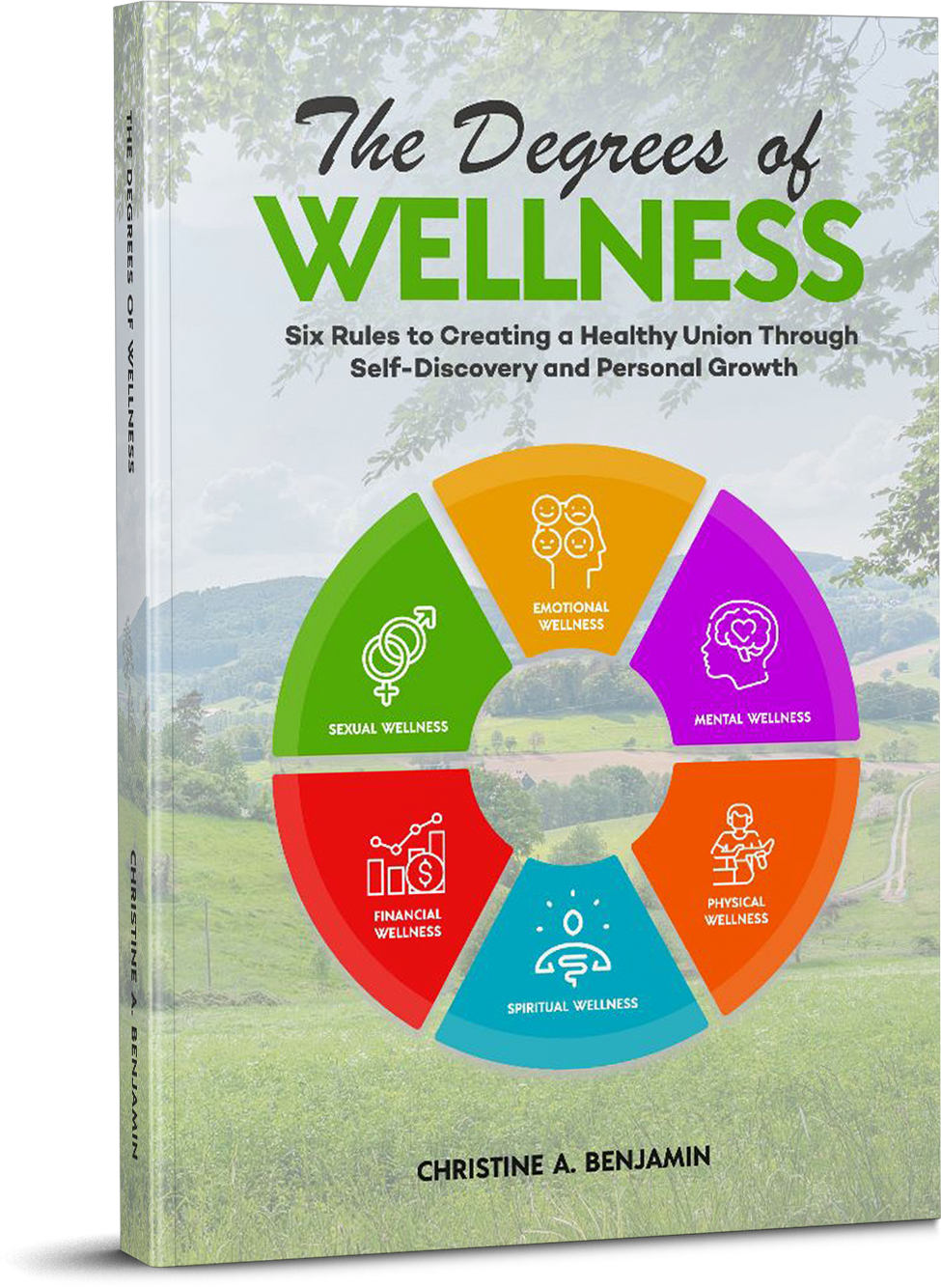 Unmasking 6 Rules of The Degree of Wellness Book by Christine Benjamin ...