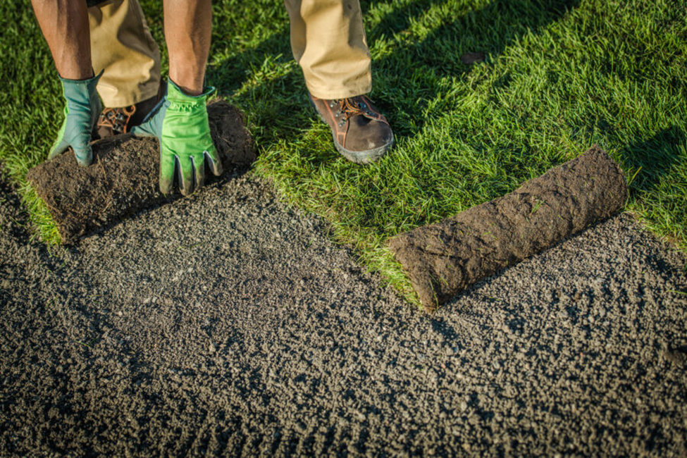 Lush Green Lawns: The Ultimate Guide to Lawn Installation in Damascus ...