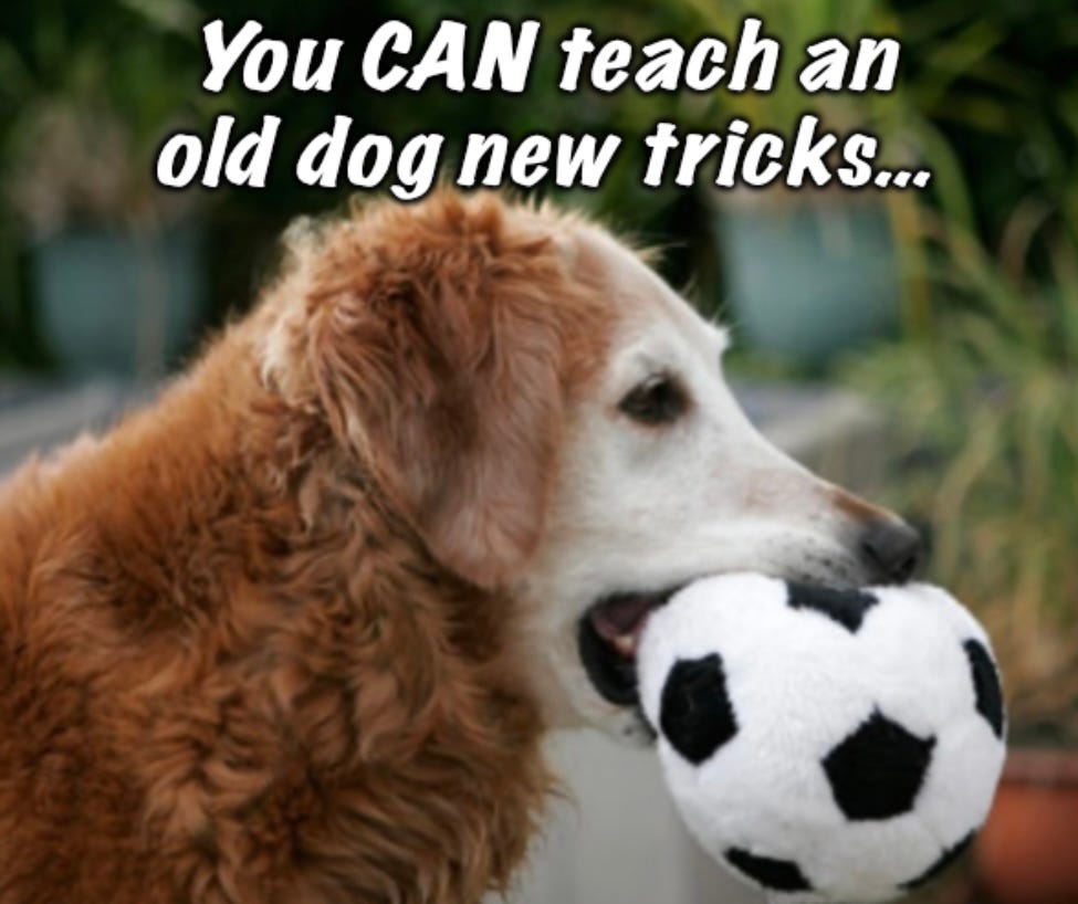 You CAN teach an old dog new tricks… - C. A. Hurst - Medium