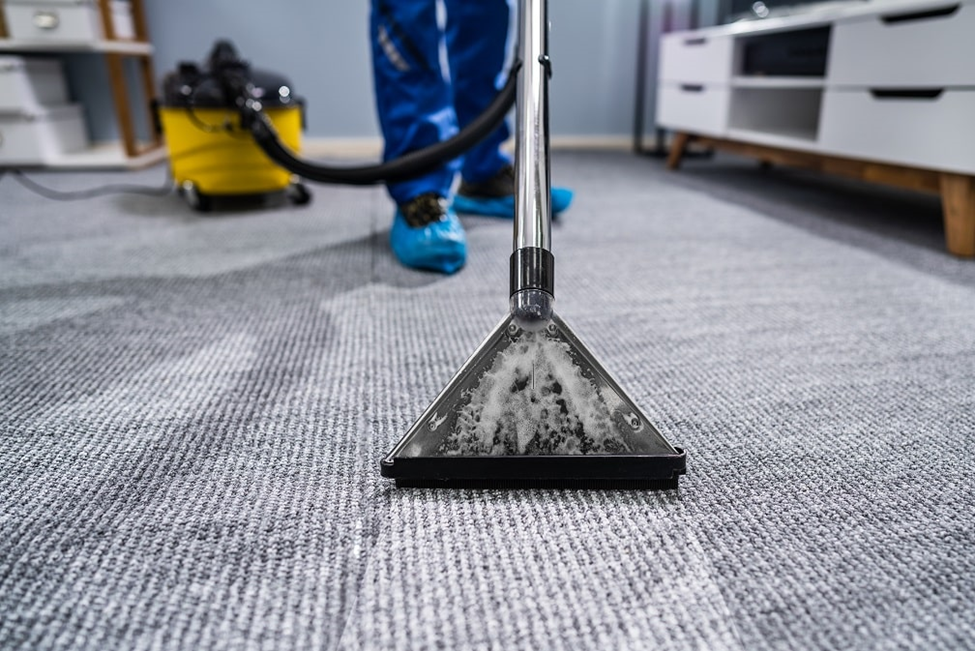 Econo Carpet Cleaning LLC: Your Trusted Partner For Home Water ...