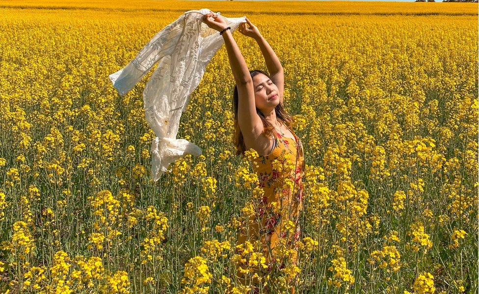 Canola tourism: A photo-friendly boost to drought-hit Australia | by ...