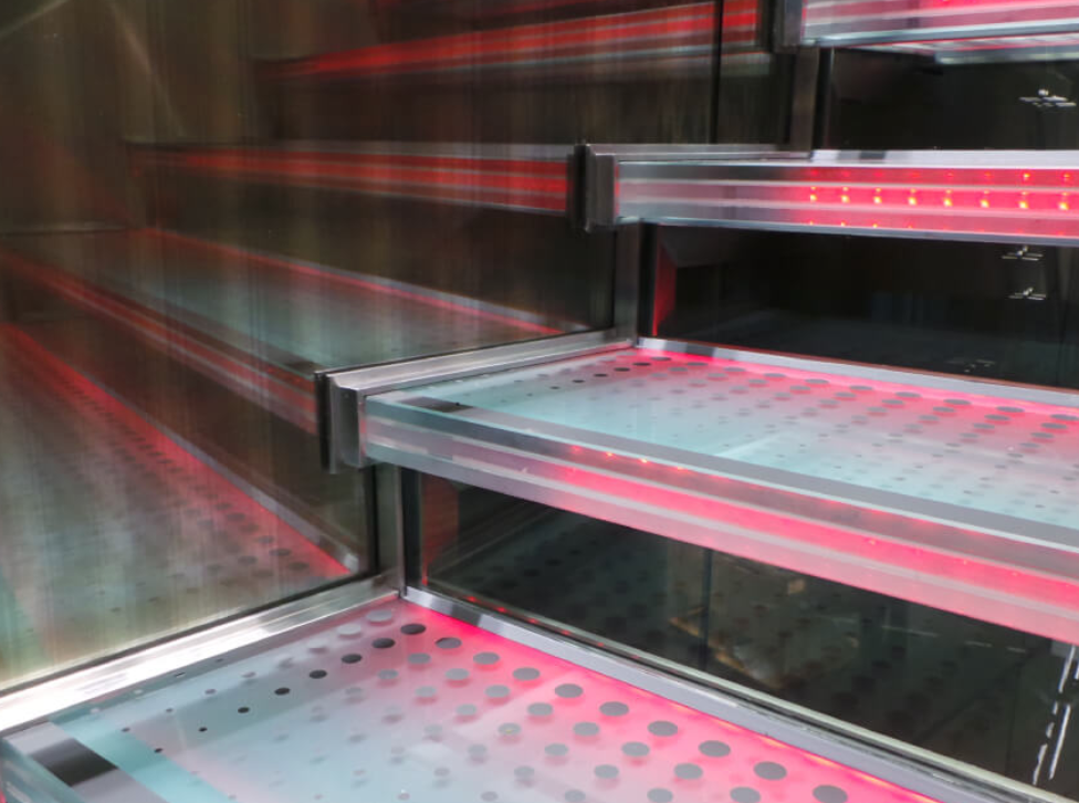Everything you will ever need to know about Walk on Glass | by ...