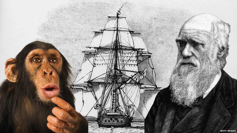Charles Darwin: Father of Evolutionary Biology | by Muhammad Usman | Medium