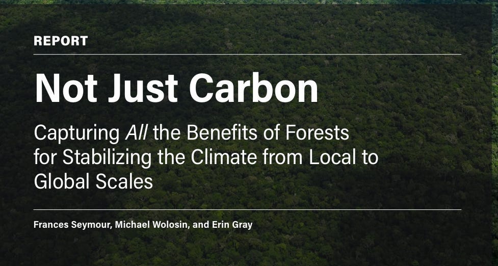 Forests are Not Just Carbon, and Climate is Not Just Emissions | by ...