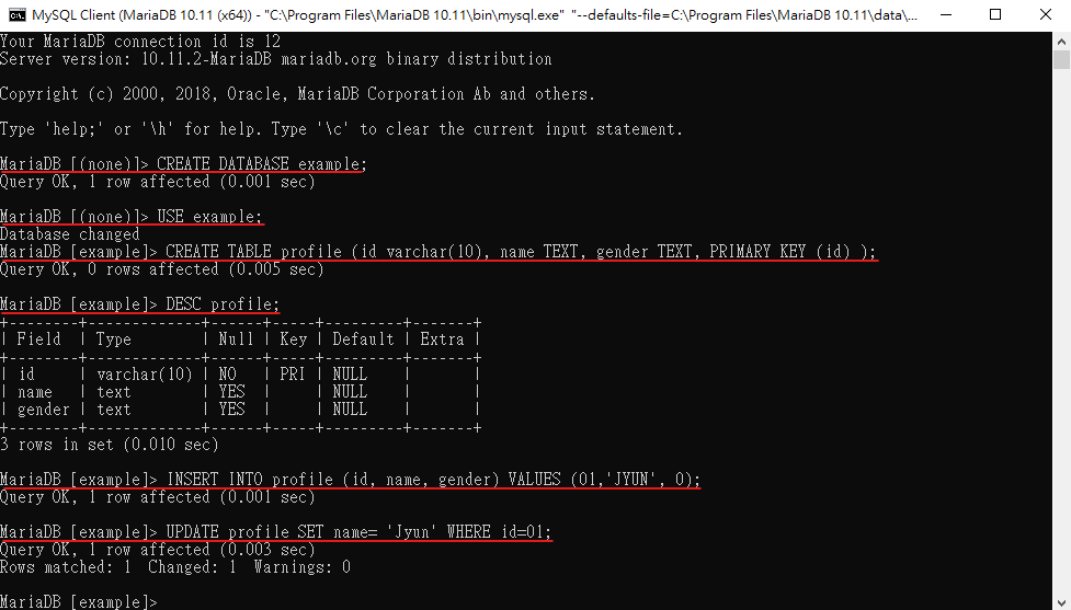 【MariaDB 】1–3: 用 SQLCMD/ Python 對資料庫進行操作 (使用VScode) | by Jyun | Medium