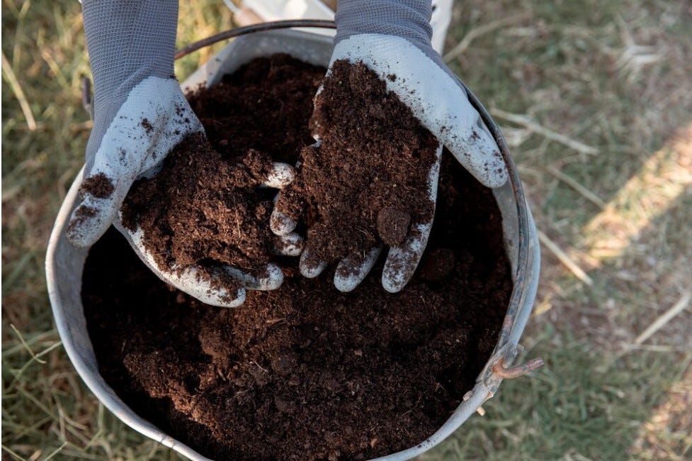 Transform Your Garden with Professional Mulch and Soil Delivery ...