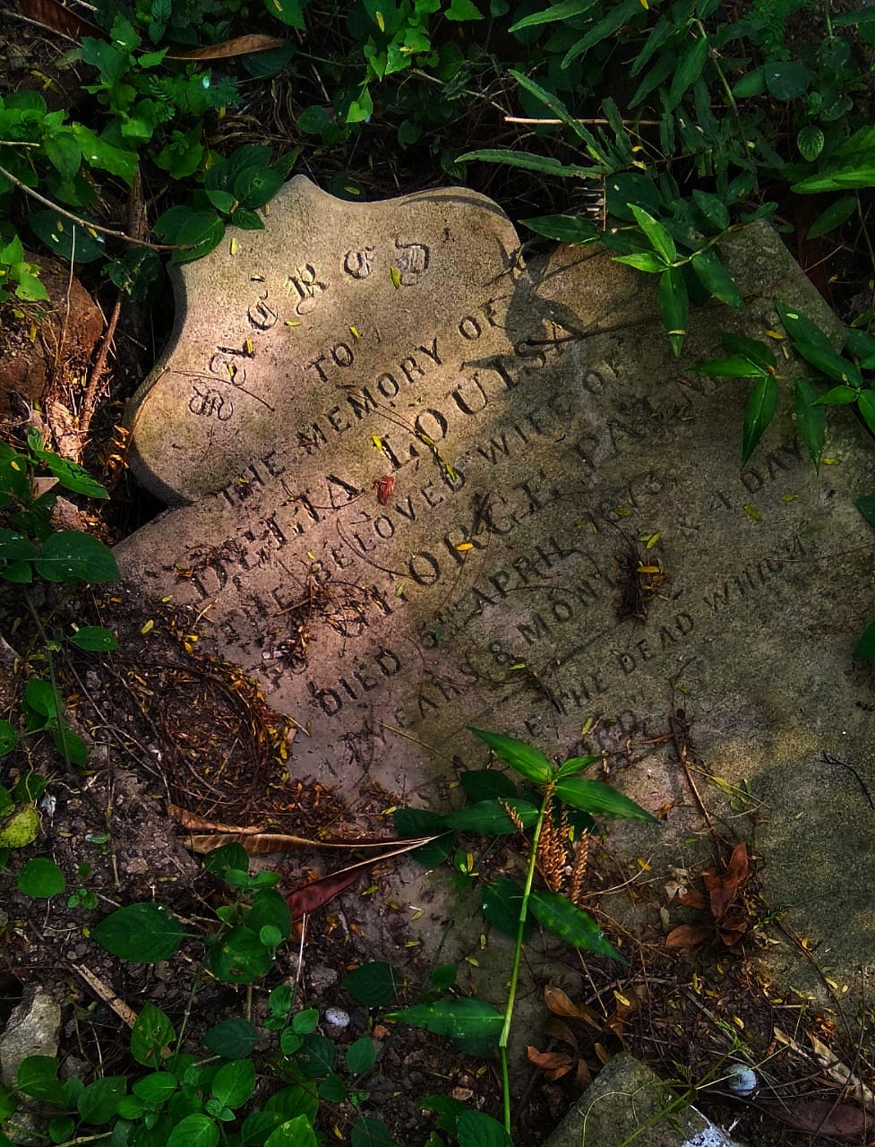 Delia Louisa Palmer (-1873) - Scots Cemetery Genealogy - Medium
